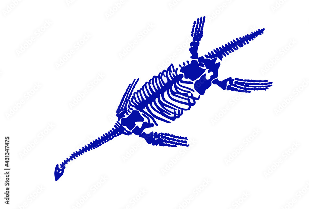 Graphical color skeleton of Loch ness monster isolated on white,color ...