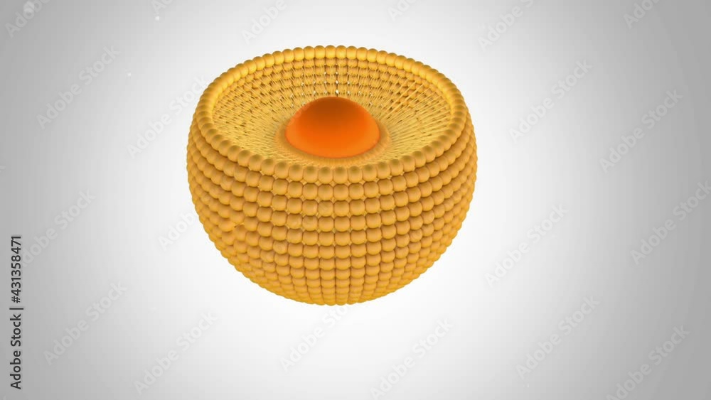 Structure of liposome, phospholipid, cell, 3d render animation. 3D ...