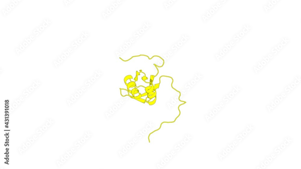 360º realistic 3D rendering of an animated biological molecule over a ...