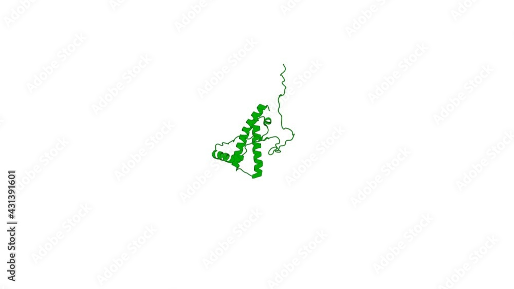 360º realistic 3D rendering of an animated biological molecule over a ...