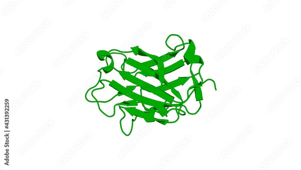 360º realistic 3D rendering of an animated biological molecule over a ...