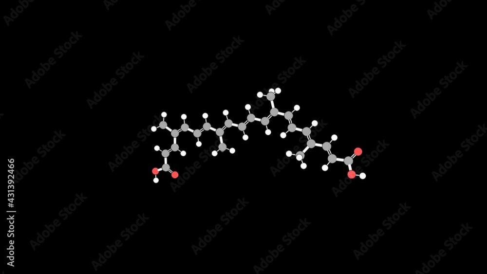 360º realistic 3D view of Annatto as a seamless loop over a black ...
