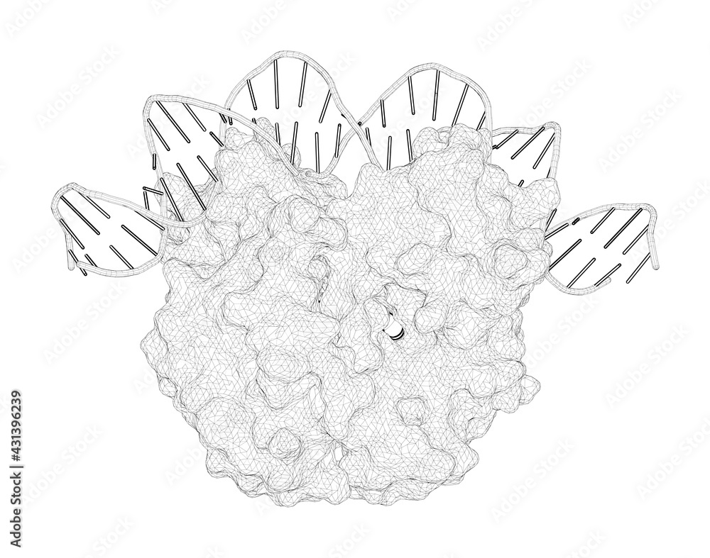 3D rendering as a line drawing of a biological molecule. Crystal ...