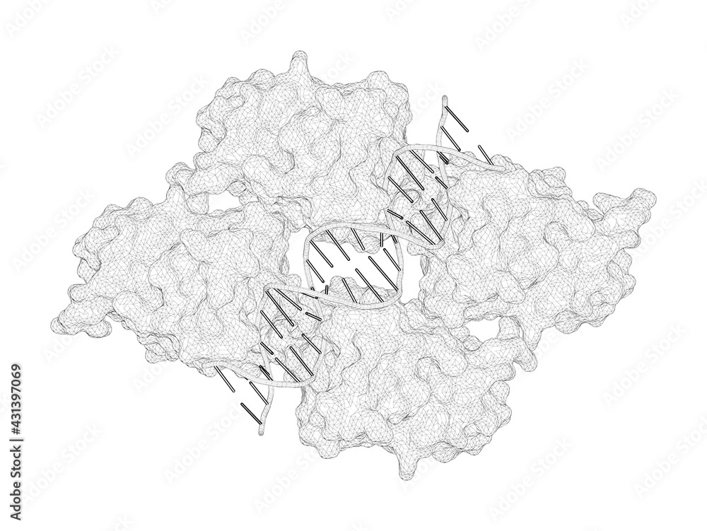 3D rendering as a line drawing of a biological molecule. Structure of ...
