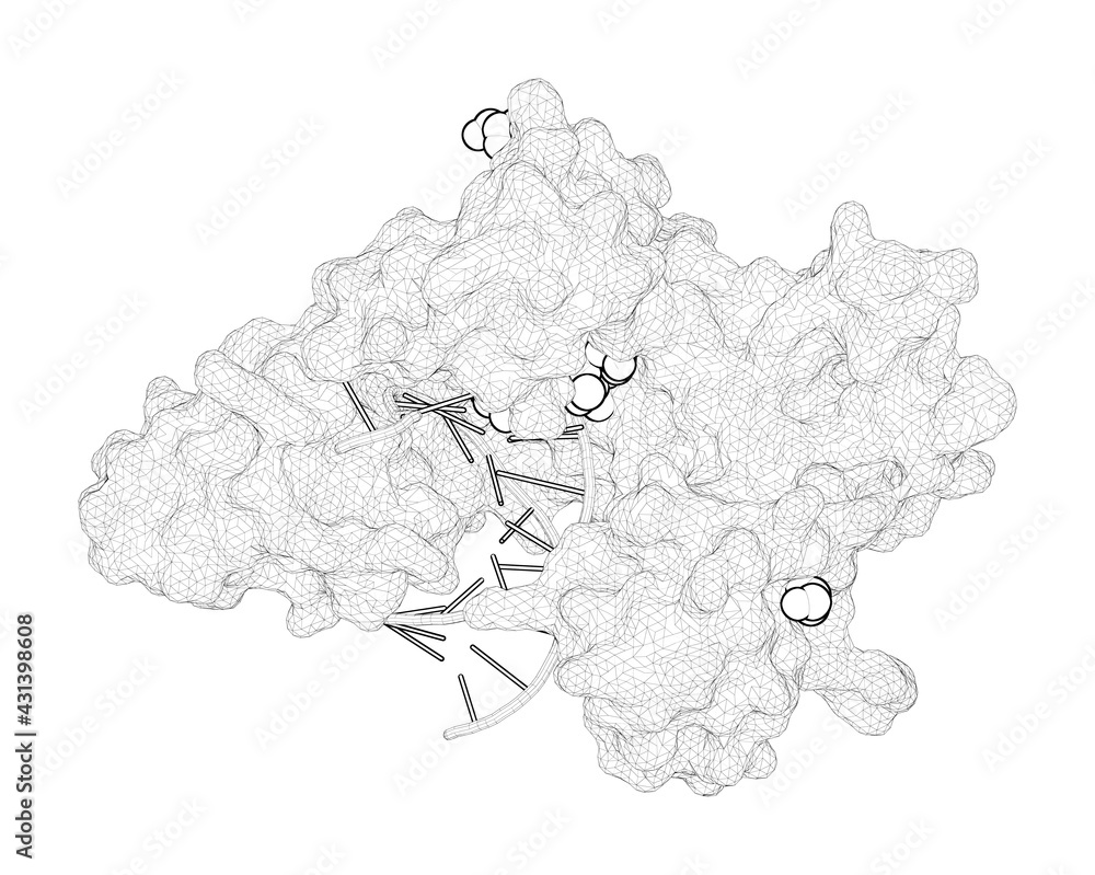 3D rendering as a line drawing of a biological molecule. Watching DNA ...