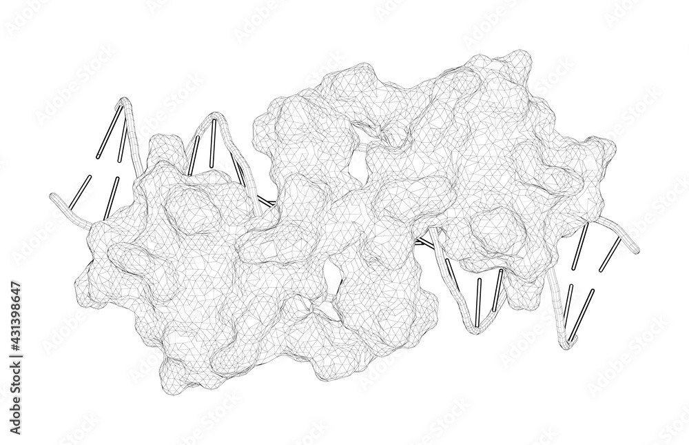 3D rendering as a line drawing of a biological molecule. Altered ...