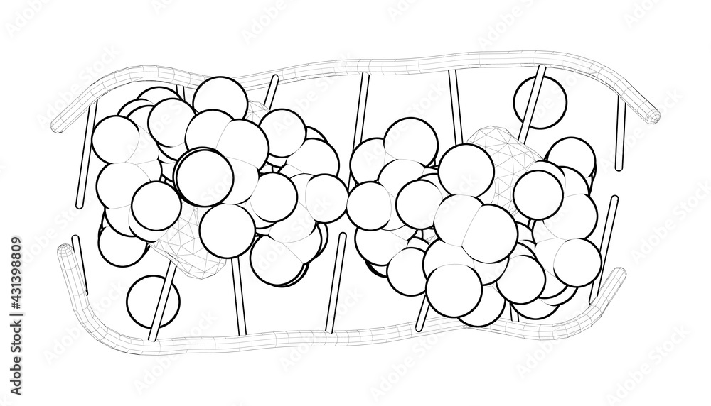3D rendering as a line drawing of a biological molecule. Cooperative ...