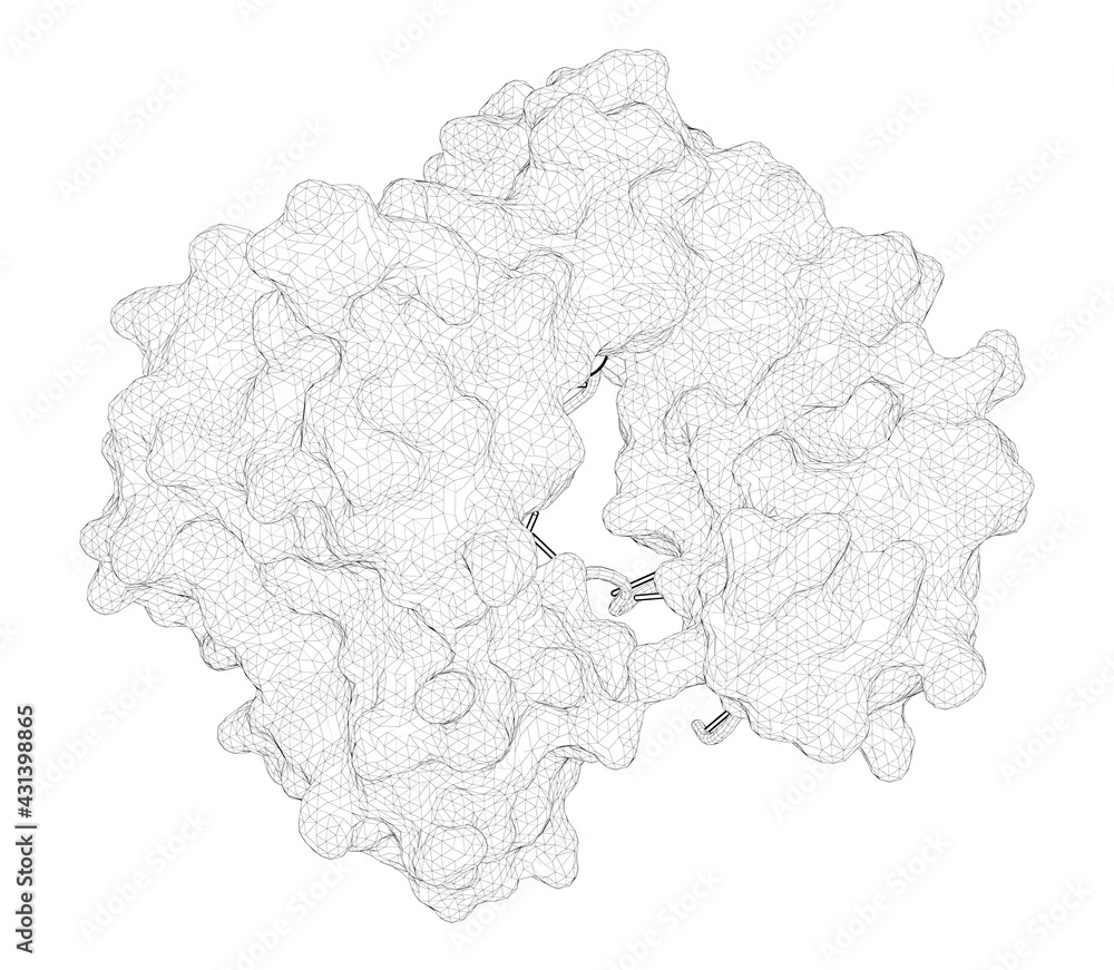 3D rendering as a line drawing of a biological molecule. N7 Methylation ...