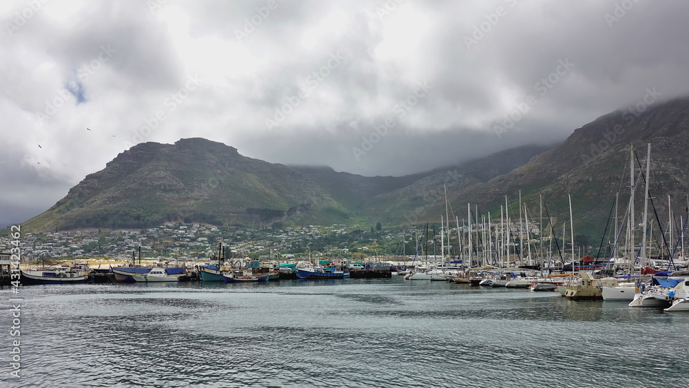 There are many sailing boats and ships in the bay. City buildings on ...