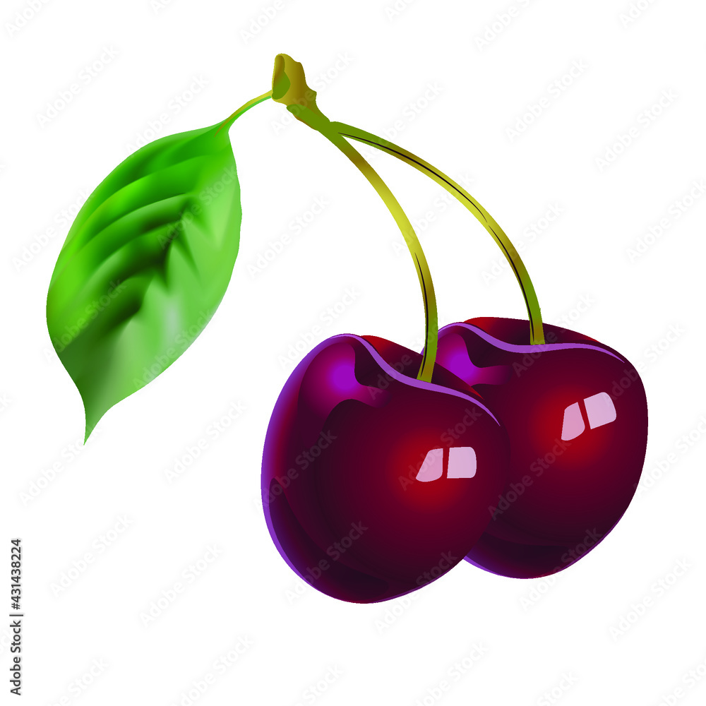Vector realistic illustration of cherries. Isolated image of fruit ...