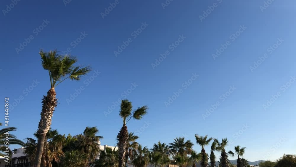 Tropical storms, meteorology and climate change concept: 4k resolution ...