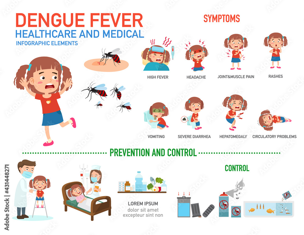Dengue fever infographics. vector illustration. Stock Vector | Adobe Stock