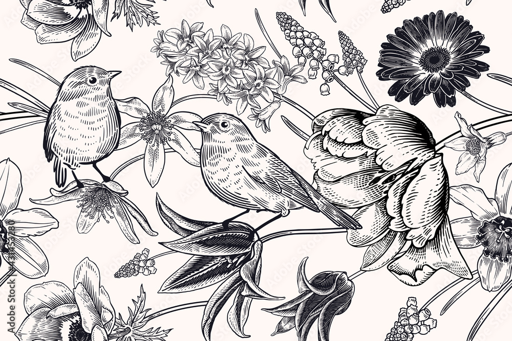 Spring Birds Clip Art Black And White