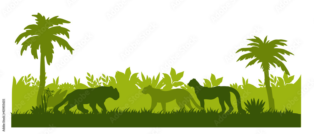 Jungle forest silhouette background, palm trees outline, leopard ...