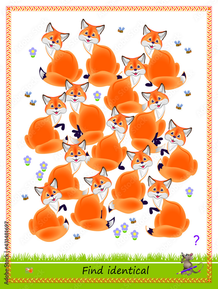 Logic puzzle game for children and adults. Find two identical foxes ...