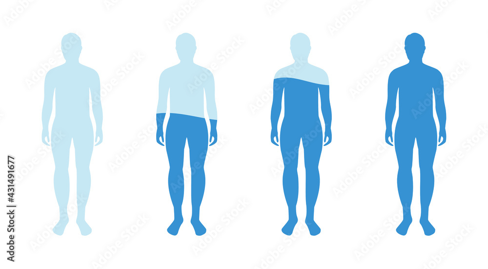 Infographic showing water percentage level in human body. Vector ...