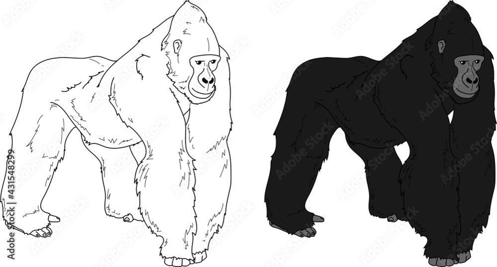 Gorilla vector drawing cartoon coloring for children line art and ...