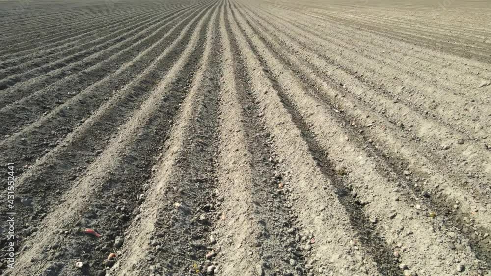 Aerial view field is plowed in spring. Flight over a plowed field of ...