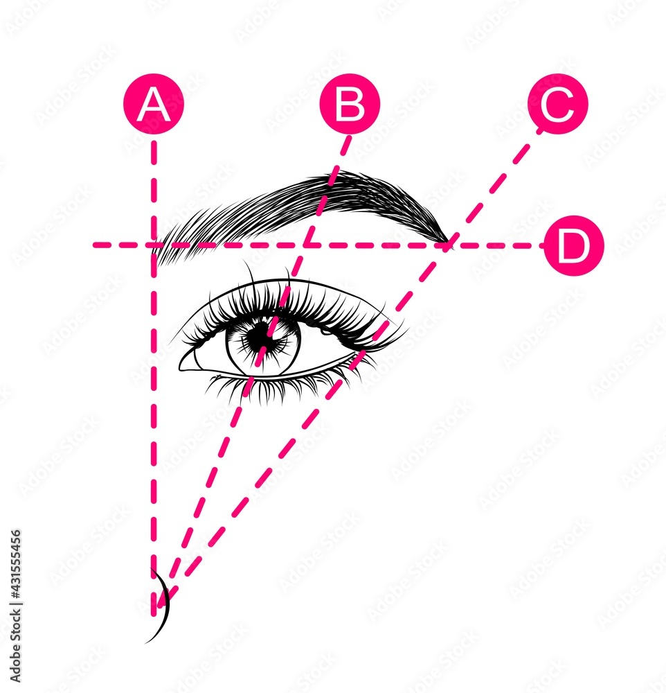 Eyebrow tutorial on detailed eye. Hand-drawn illustration in vector ...