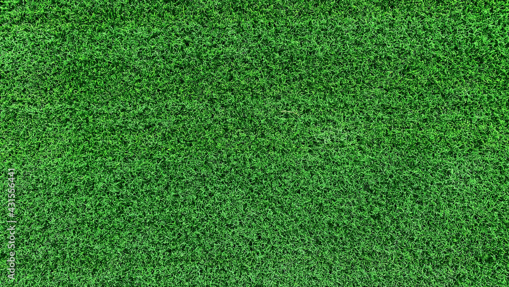 Green grass background field area It is a grass that looks short, cut ...
