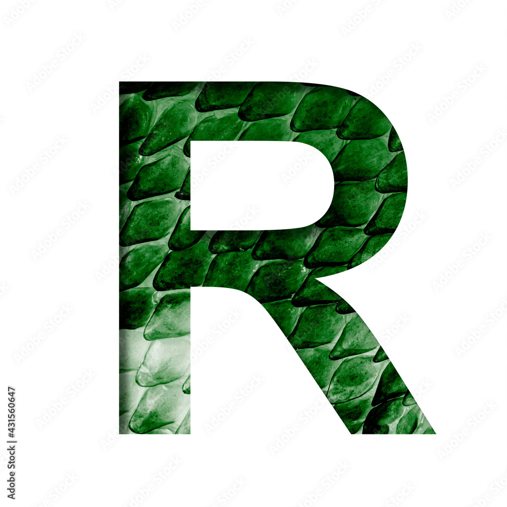 Dragon skin font. The letter R cut out of paper on the background of ...