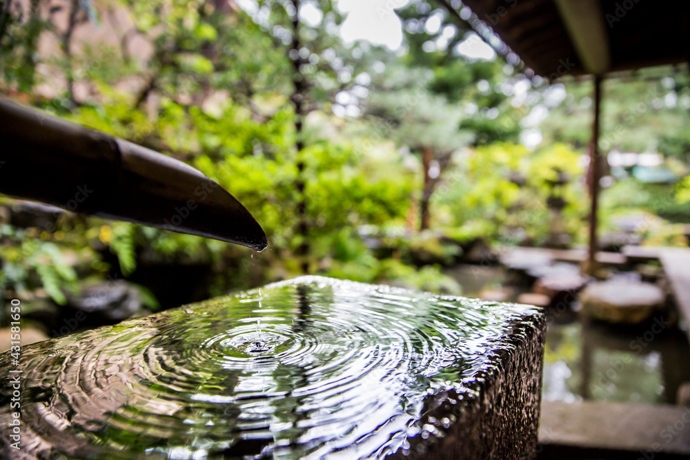 Bamboo natural spring water feature in the Japanese zen garden of the ...