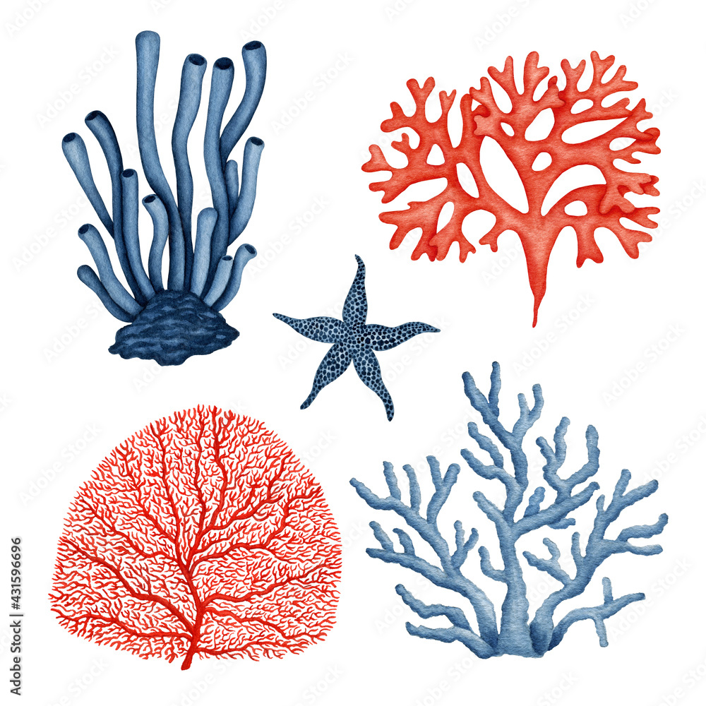 Ocean Algae Clipart