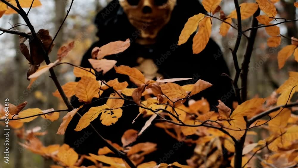 Death. Halloween and horror concept.death suit.skull halloween costume ...