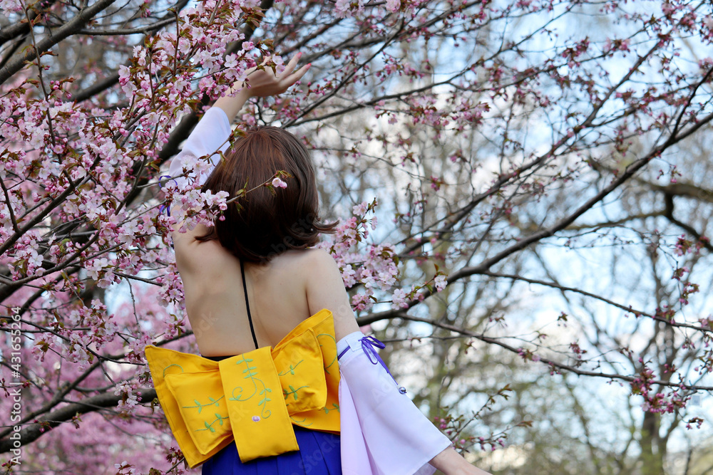 Girl in a traditional Japanese dress standing near the blooming sakura ...