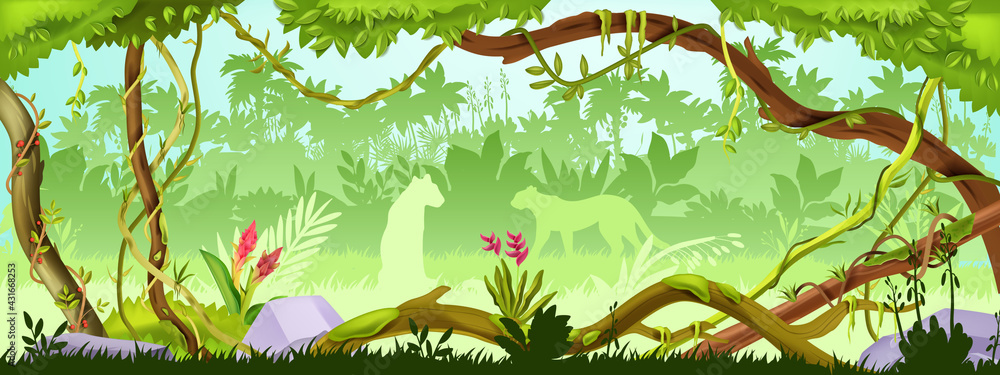 Amazon Rainforest Background Animated