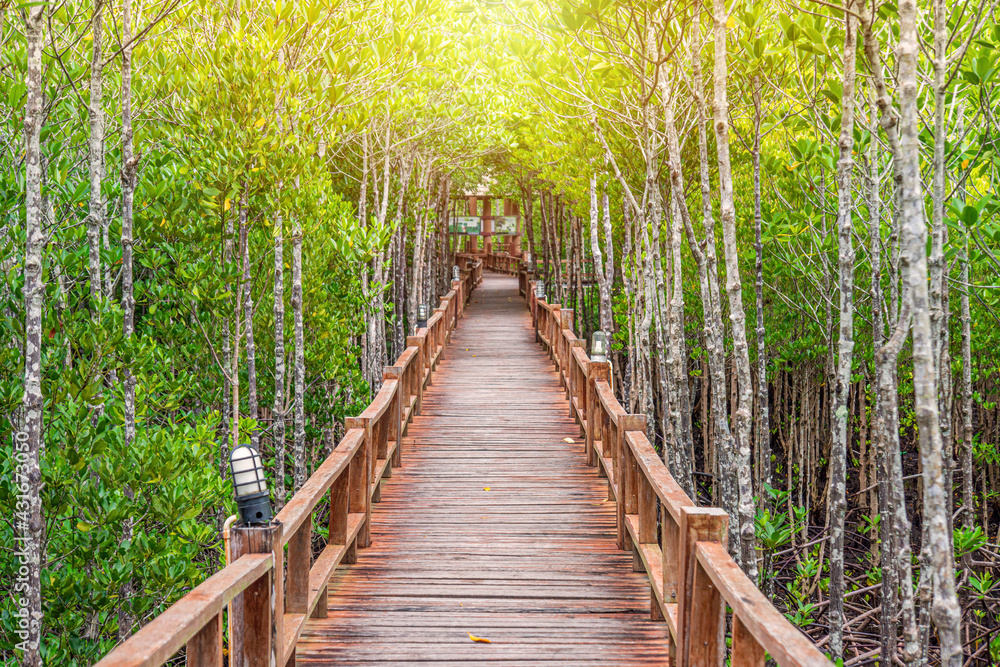 Wooden walkway in abundant mangrove forest at Mu Ko Chumphon National ...