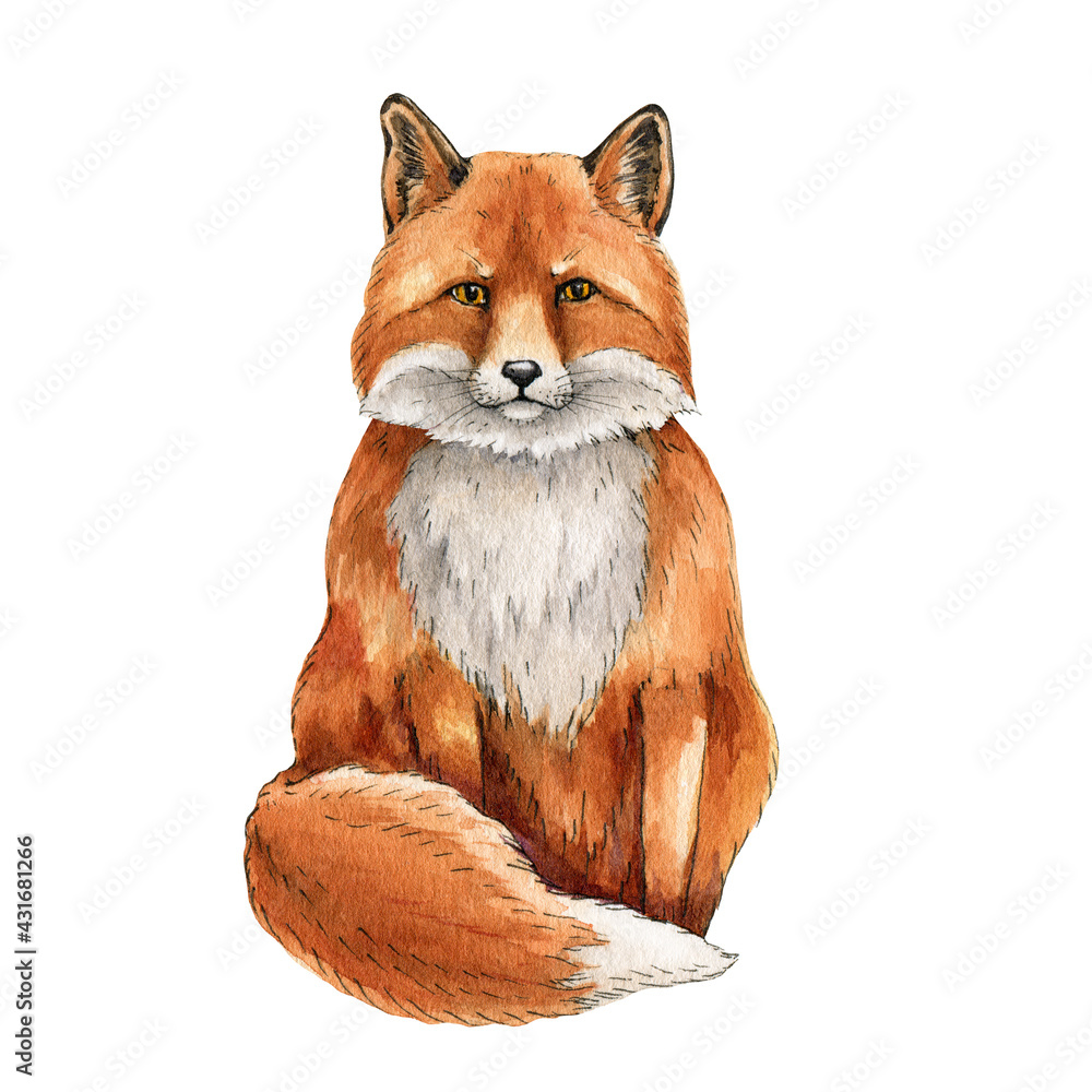 How To Draw A Realistic Sitting Fox