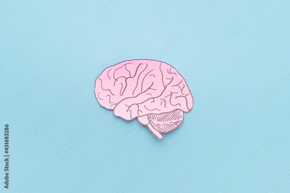Brain symbol presented by human brain anatomy made form paper on light ...