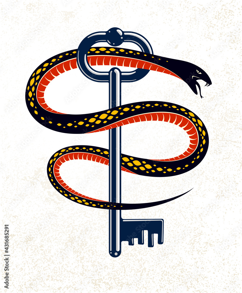 Snake wraps around vintage key, protected secret concept, turnkey and ...