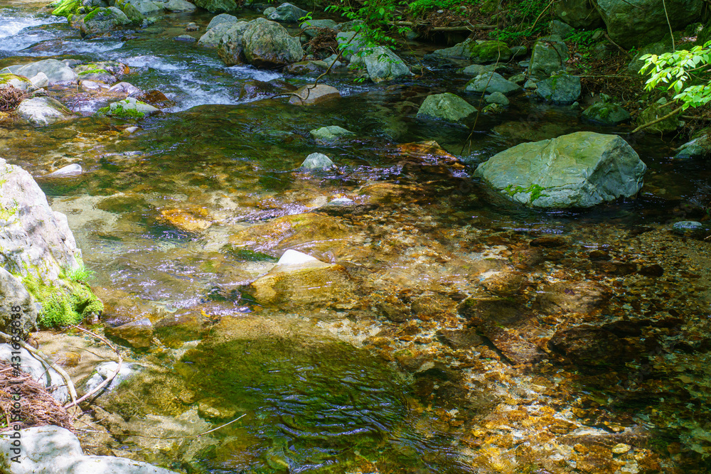 渓流のせせらぎ Stock 写真 | Adobe Stock