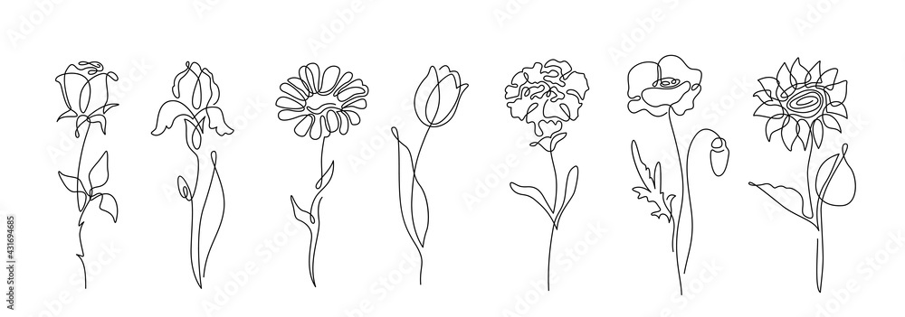 Flowers vector set illustration in simple minimal continuous outline ...