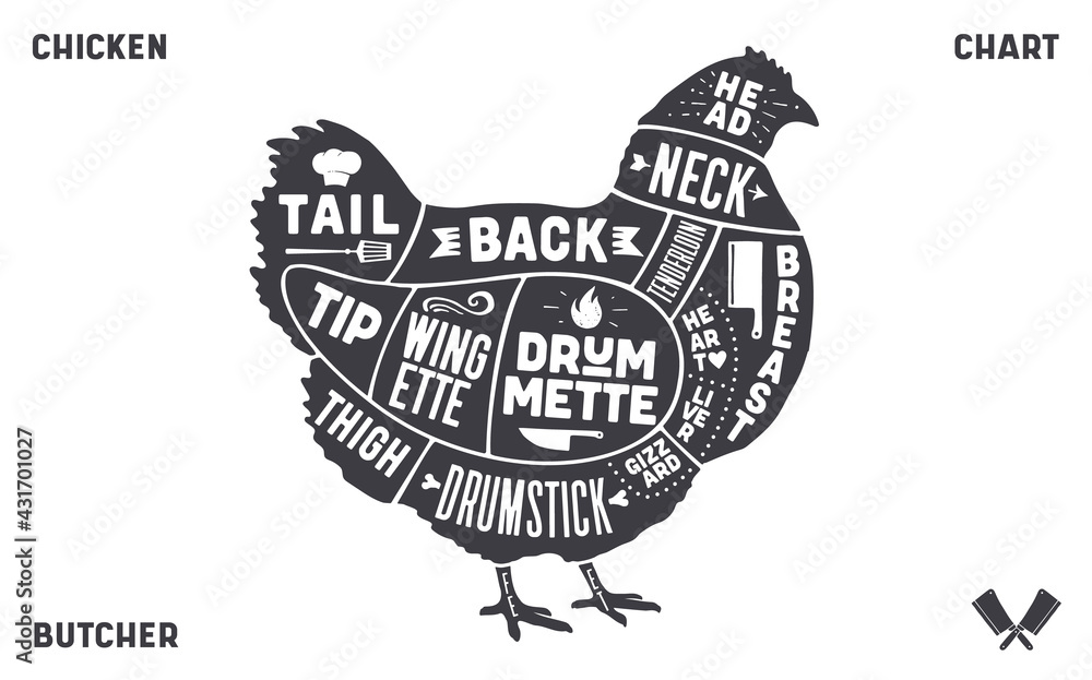 Chicken, hen. Scheme, diagram, chart chicken butcher guide Stock Vector ...