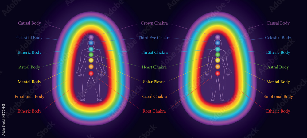 Aura layers and coherent chakras of a male and a female body. Rainbow ...
