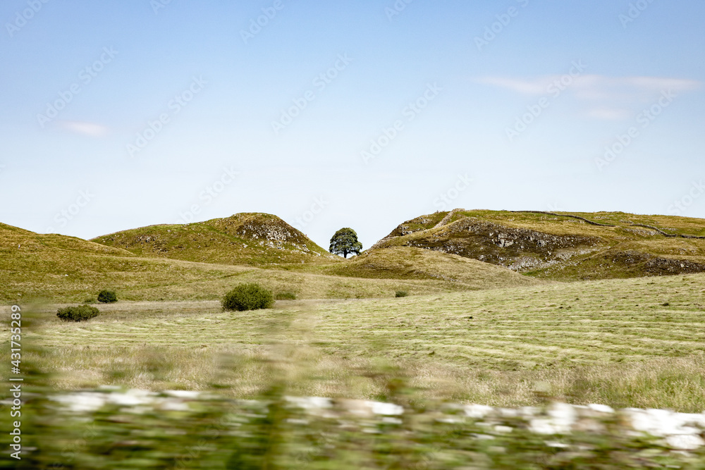 Northumberland UK: Sycamore Gap on Hadrians Wall from a distance ...