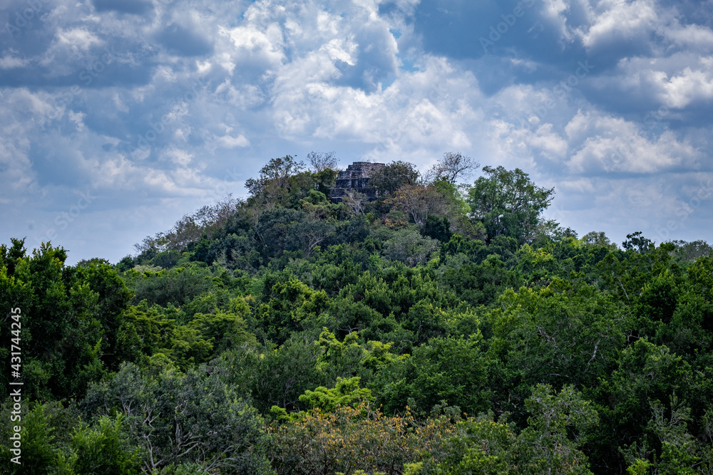 Calakmul pyramid in Mexico. Mayan ruins. Pyramid in the jungle. Stock ...