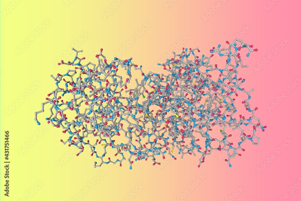 Molecular model of human anaplastic lymphoma kinase (ALK) in complex ...