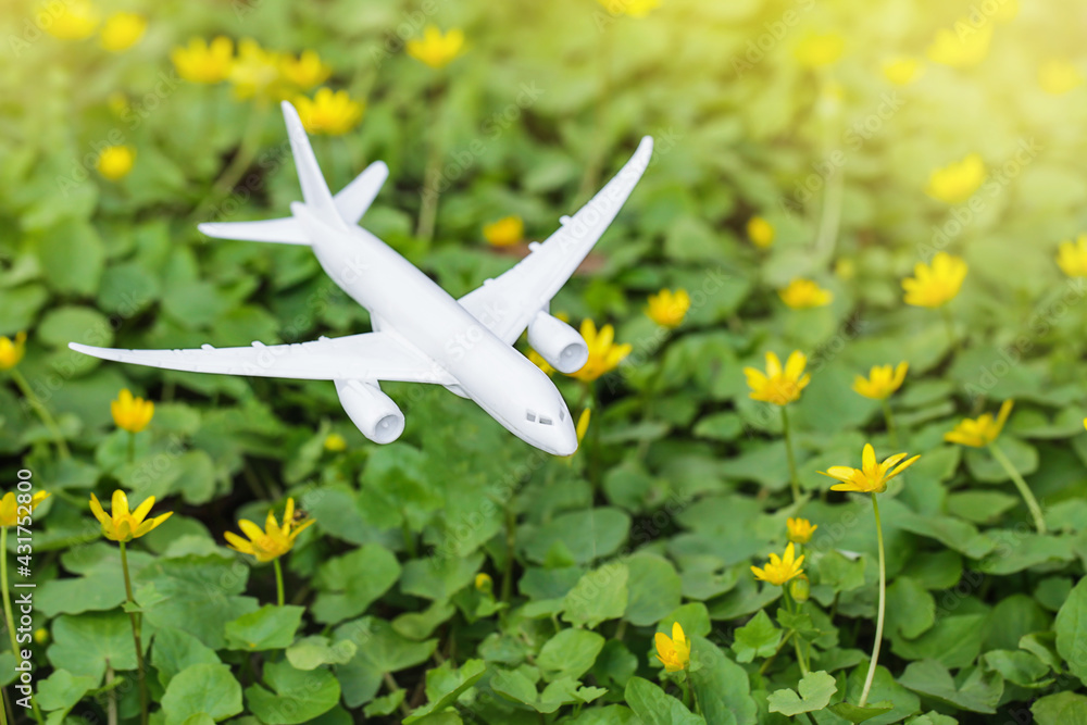White airplane model on flower fresh green leaves background ...