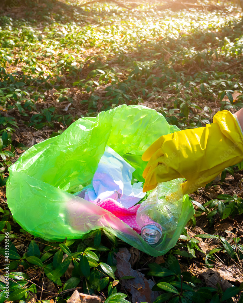 Volunteers clean up the trash in the park. Plastic bottle around the ...