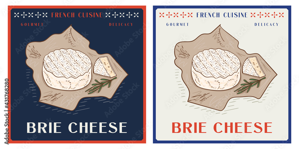 Brie cheese with rosemary on paper vintage realistic illustration Stock ...