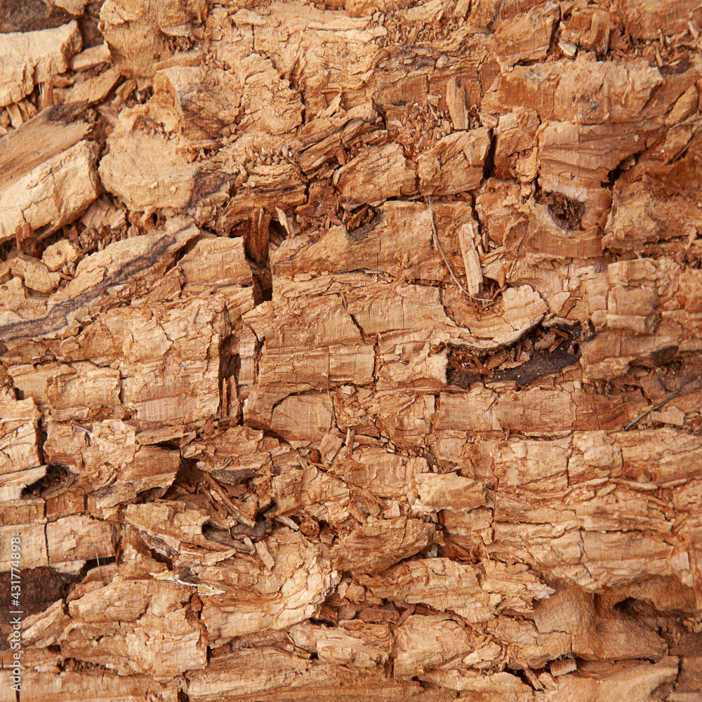 Crumbly wood texture for backgrounds and design elements. Stock Photo ...