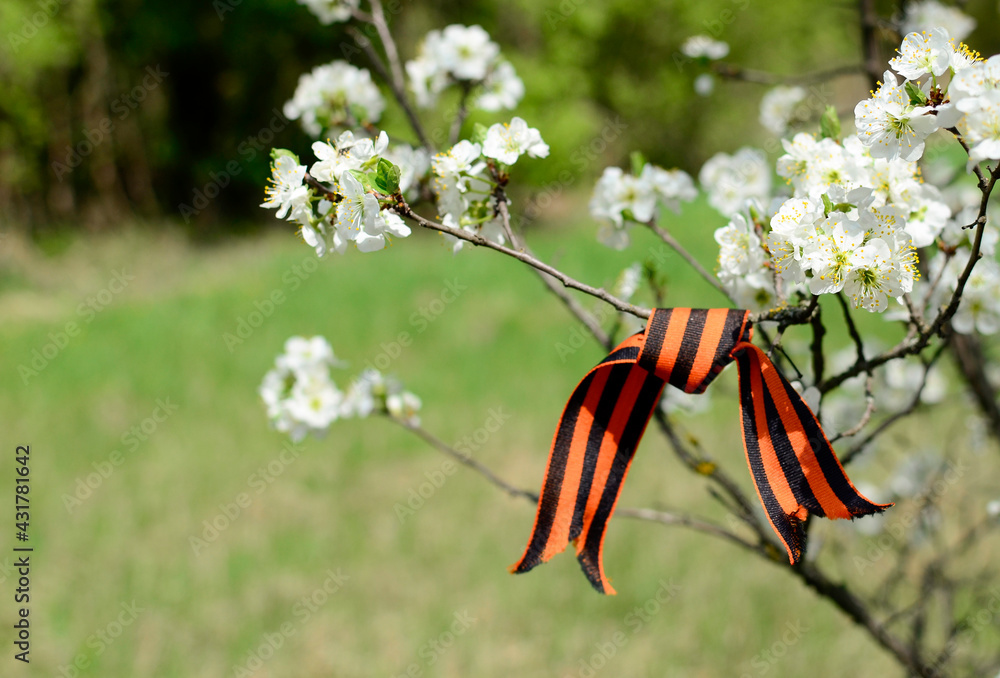 9 may, holiday Victory Day background. George ribbon, branch spring ...