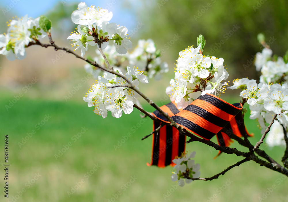 9 may, holiday Victory Day background. George ribbon, branch spring ...