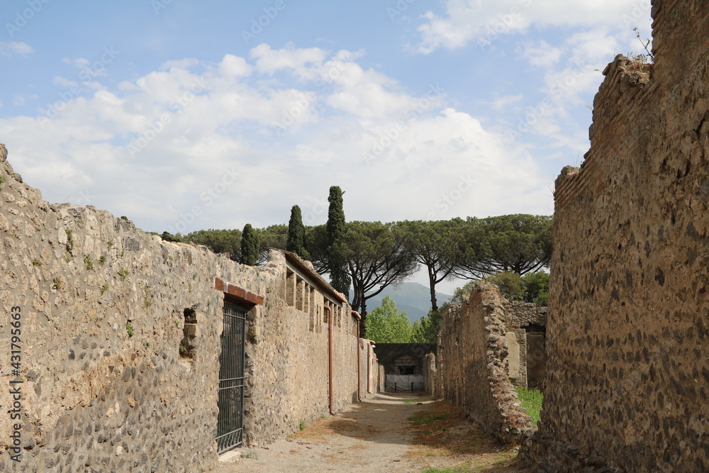 Pompeii destroyed after devastating volcanic eruption of Mount Vesuvius ...