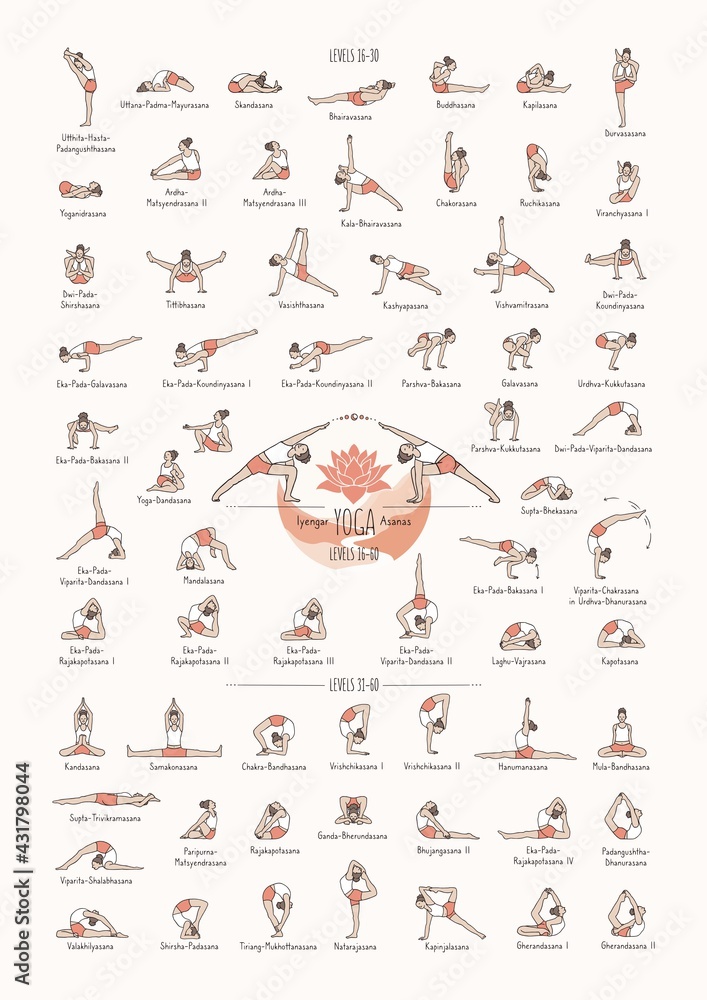 Hand drawn poster of hatha yoga poses and their names, Iyengar yoga ... Hand drawn poster of hatha yoga poses and their names, Iyengar yoga ...