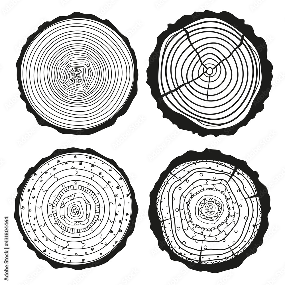 Tree rings. Set of cross section of the tree. Set of tree rings on ...